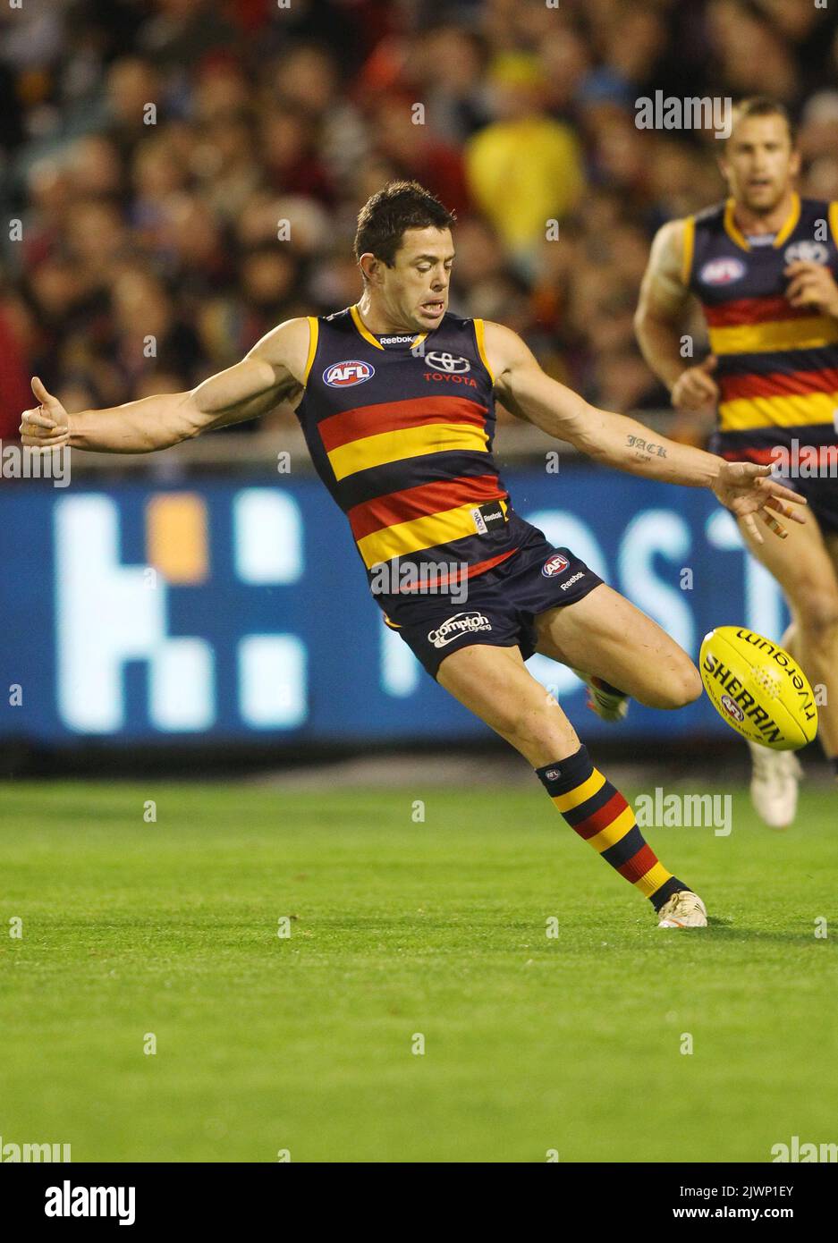 Ian Callinan of the Adelaide Crows in action during round nine of the ...