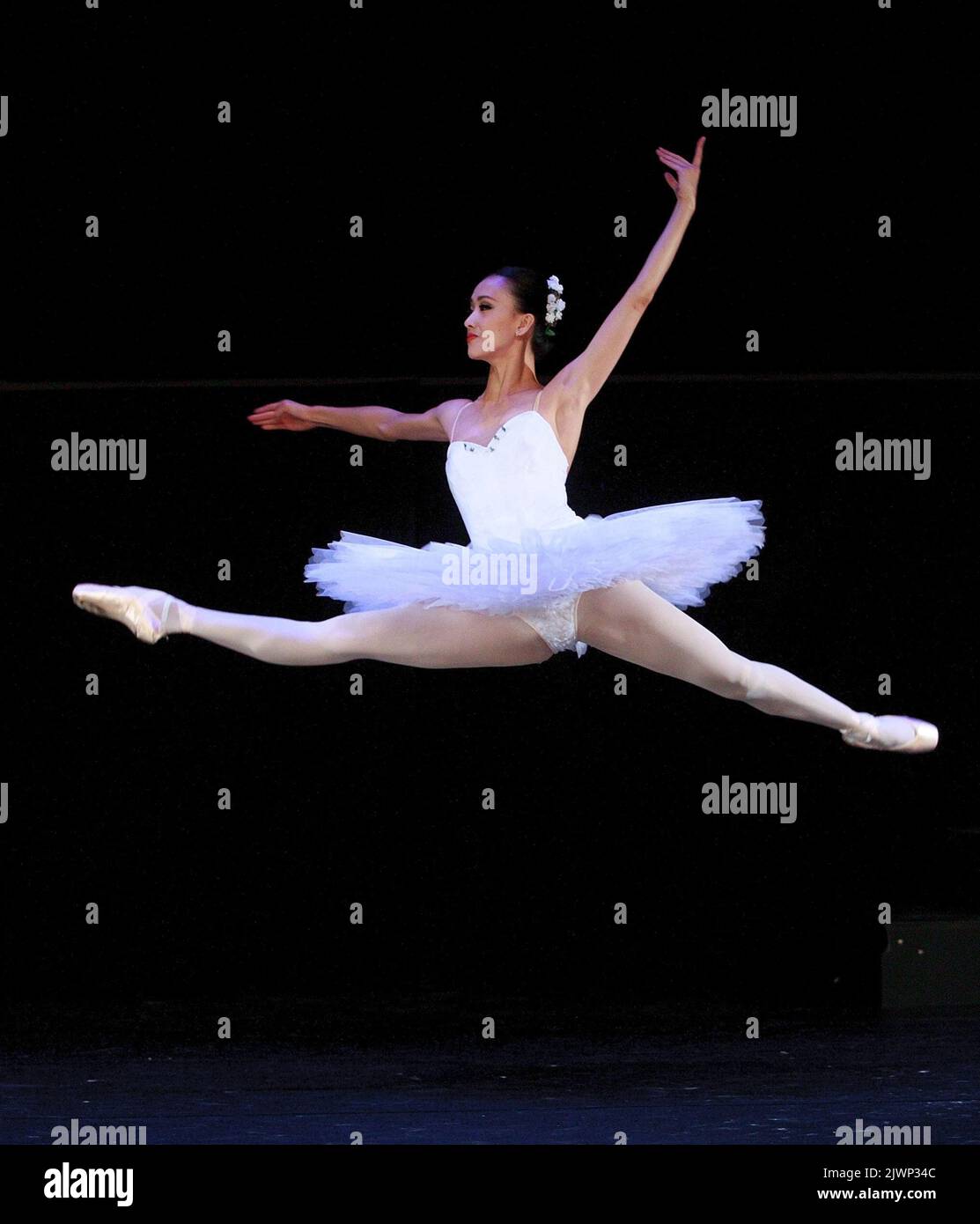 The English National Ballet media call at The Concourse, Chatswood, NSW ...