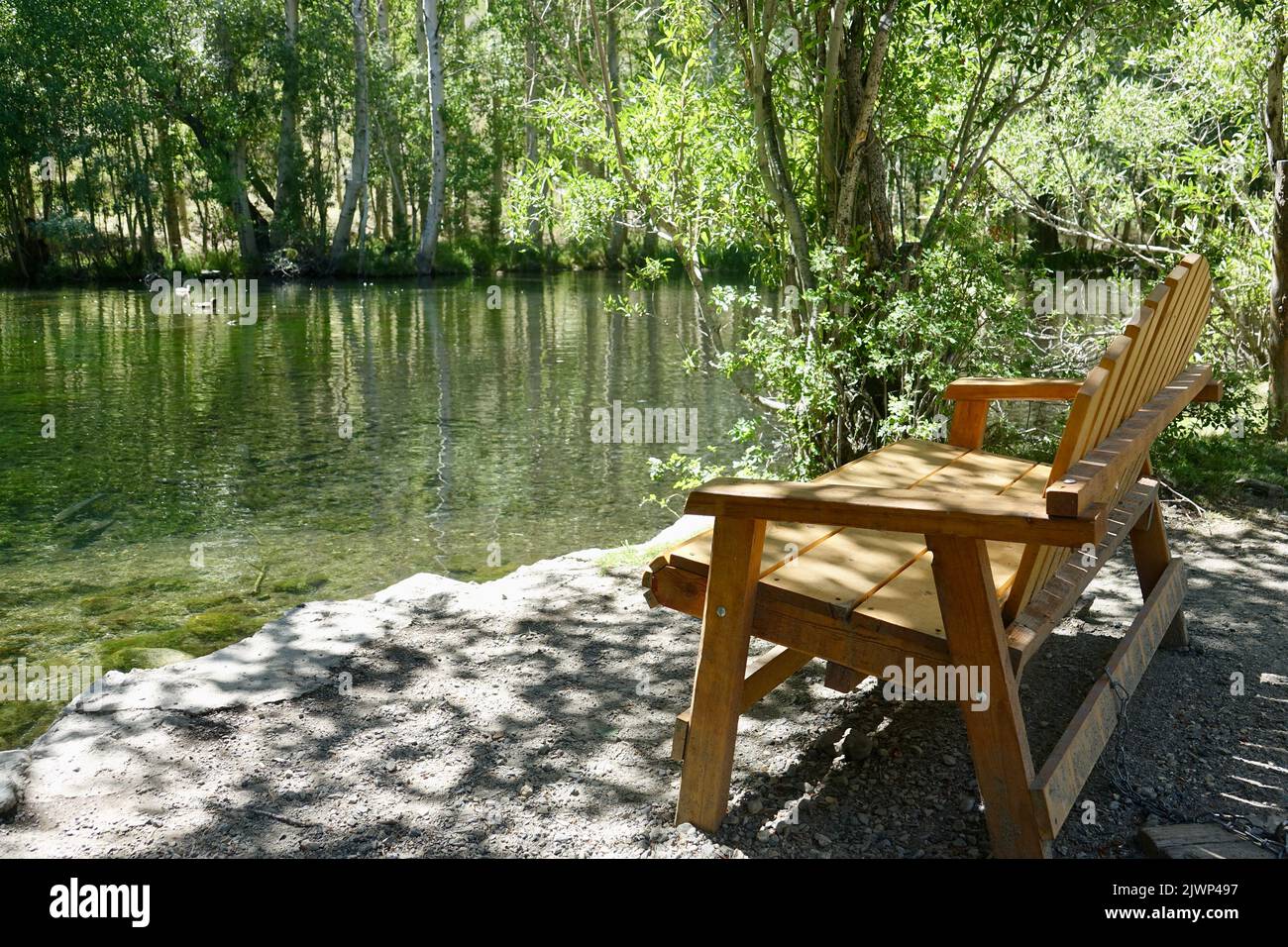 wood park bench overlooking the lake Stock Photo - Alamy