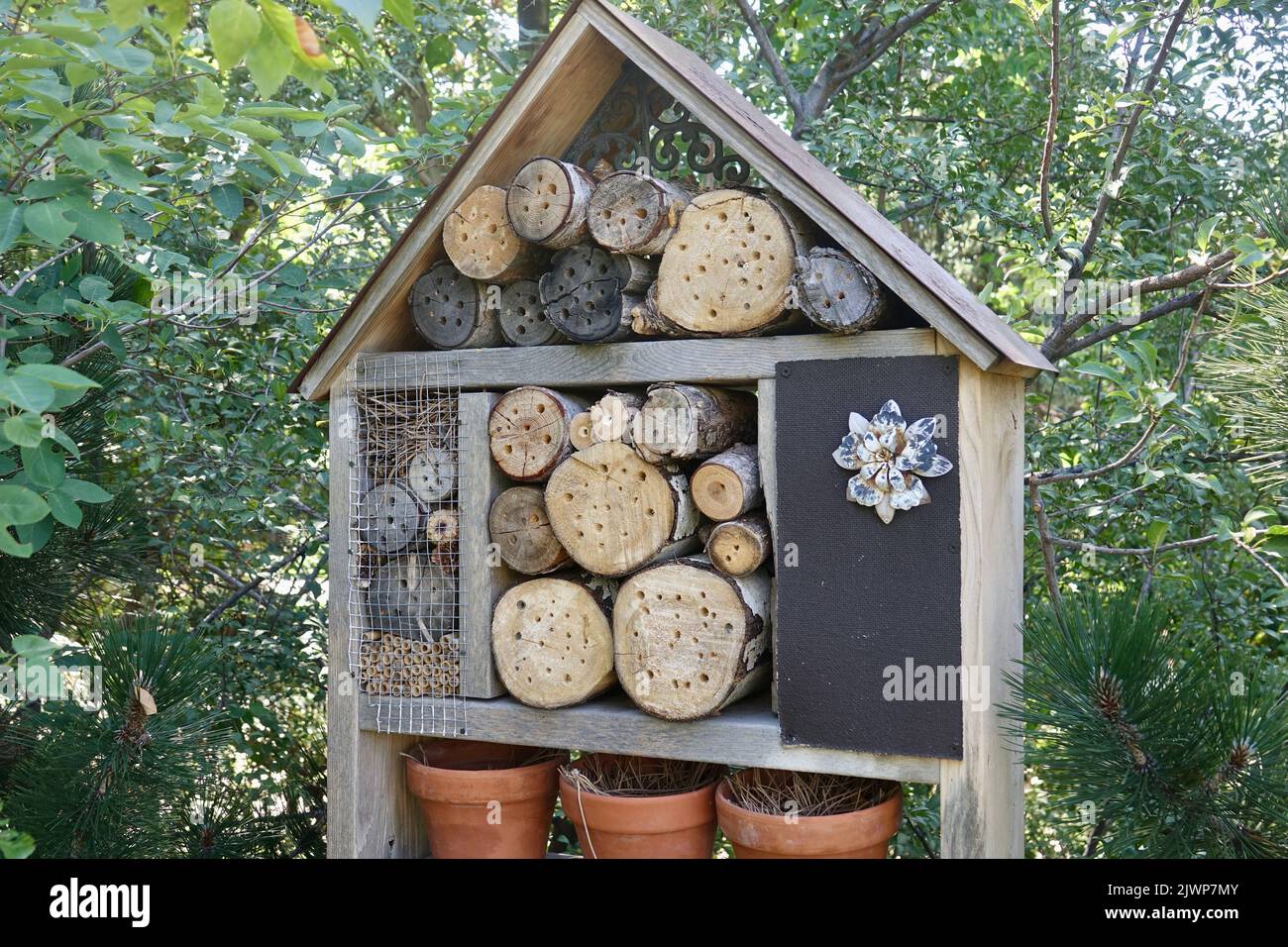 Creativity insect hi-res stock photography and images - Alamy