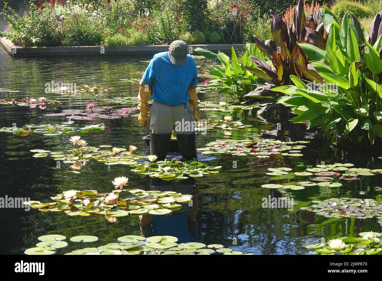 Weeding landscape hi-res stock photography and images - Alamy