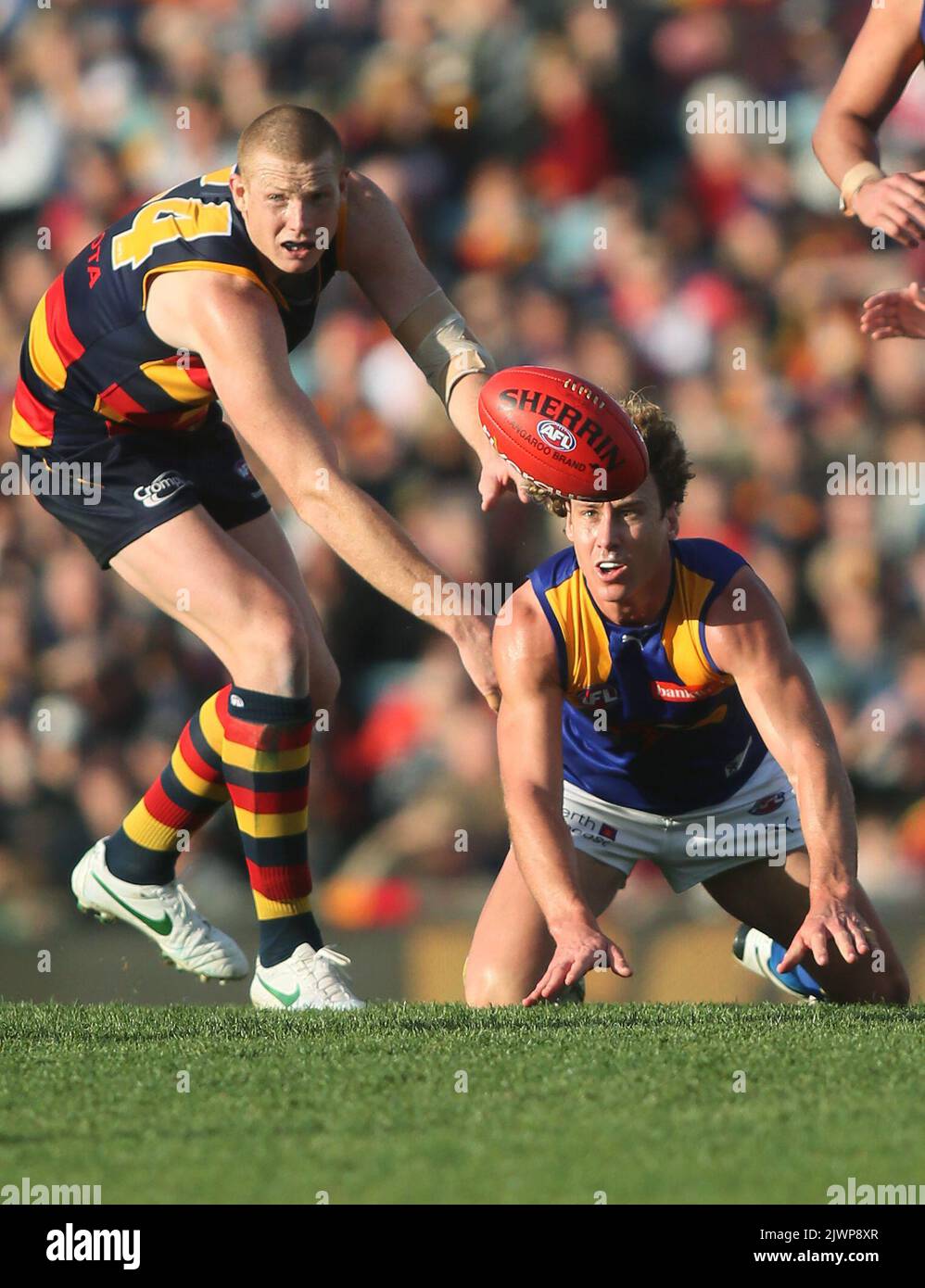 Matthew Priddis of West Coast gets a hand ball away while Sam Jacobs of ...