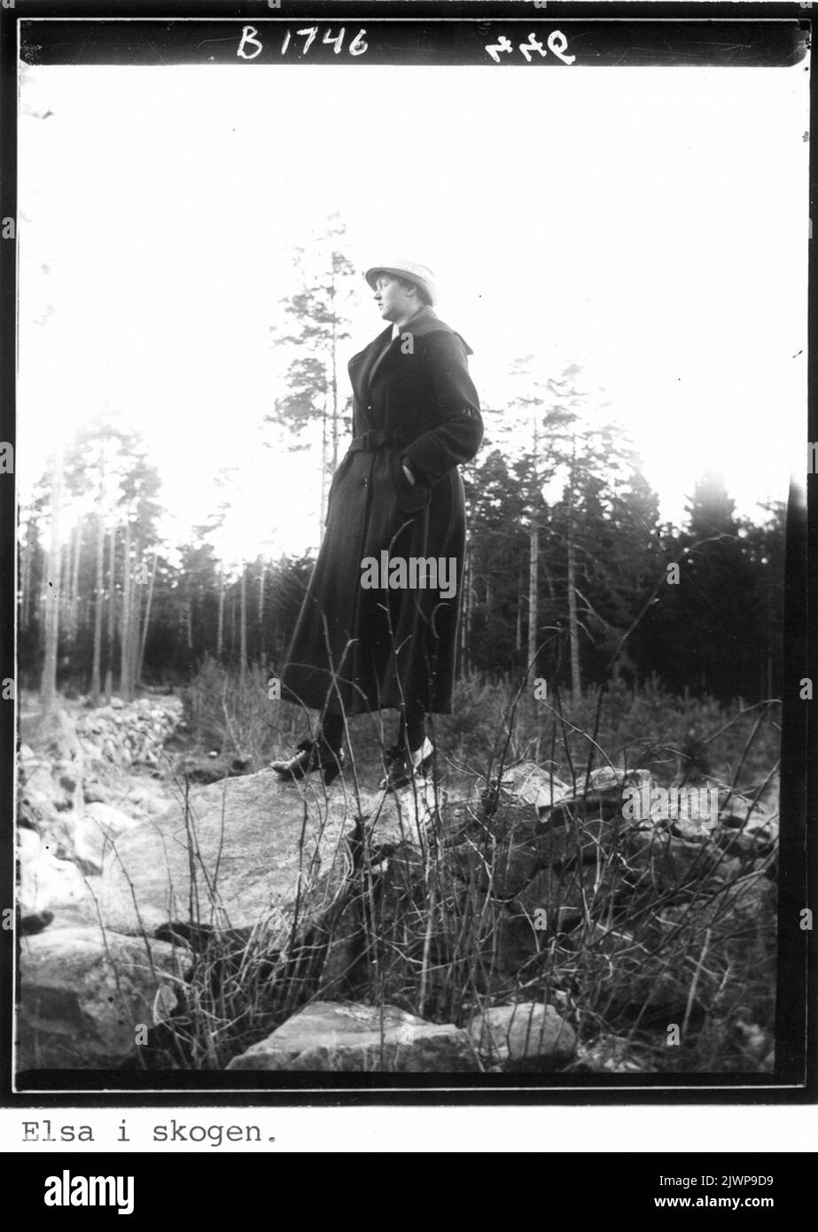 Elsa in the forest. Elsa i skogen Stock Photo - Alamy
