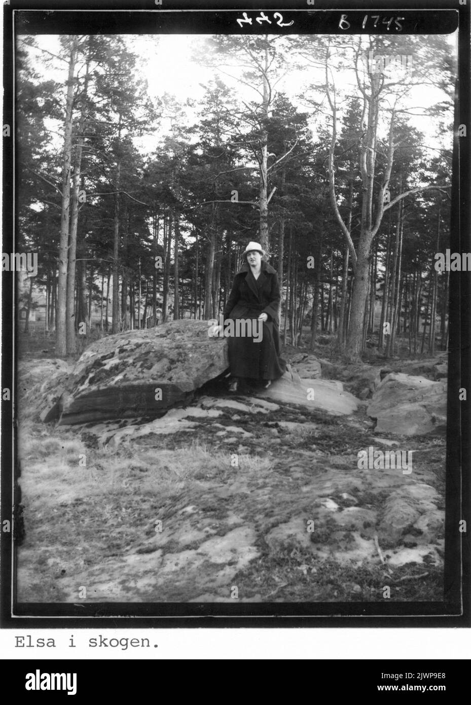 Elsa in the forest. Elsa i skogen Stock Photo - Alamy