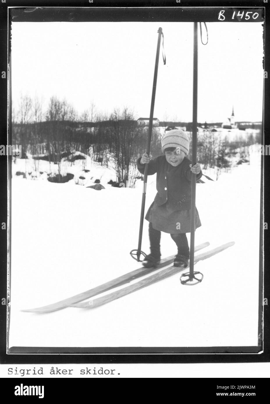 Sigrid Sundgren goes skiing. Sigrid Sundgren åker skidor Stock Photo ...