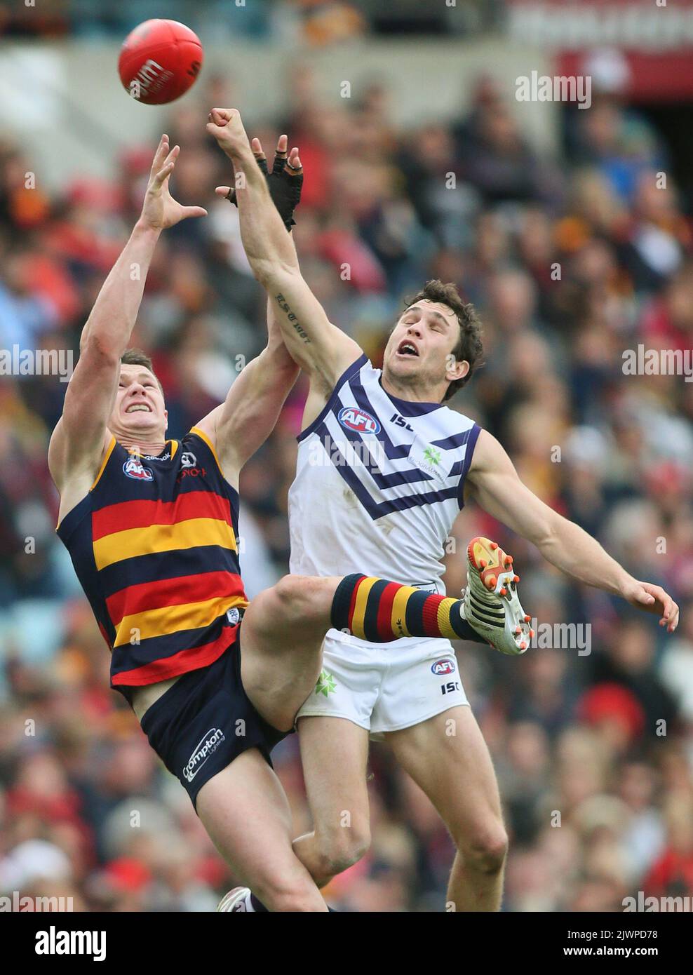 Patrick Dangerfield of the Adelaide Crows contests a mark with Hayden ...