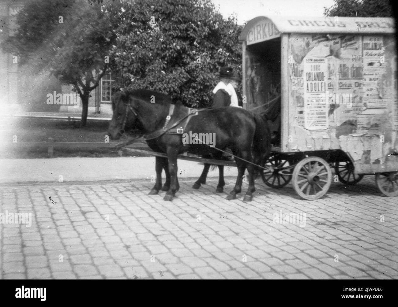 Horses pull a circus car. Hästar drar cirkusvagn Stock Photo - Alamy