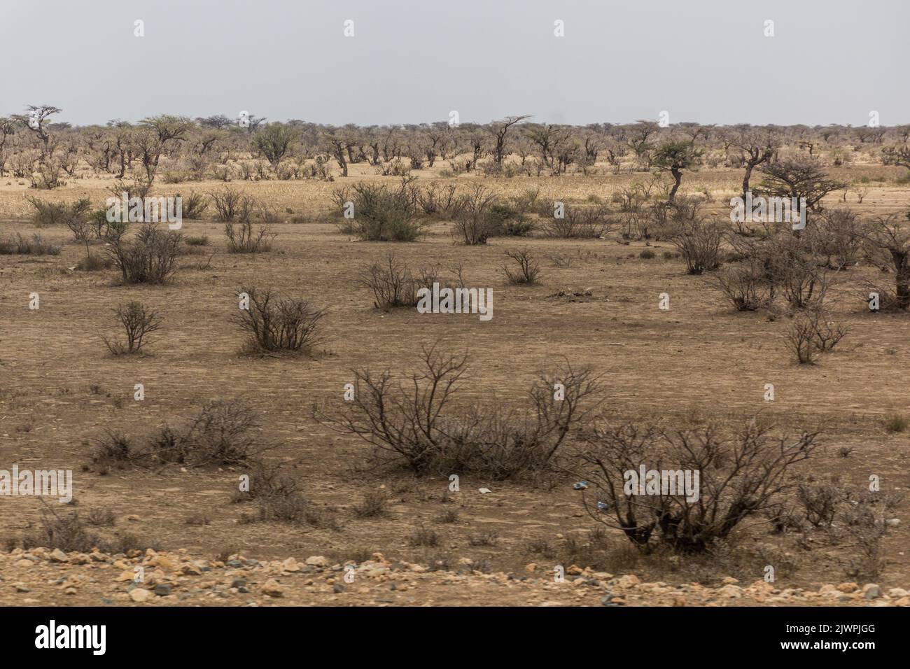 Landscape of eastern Ethiopia near Jijiga Stock Photo - Alamy