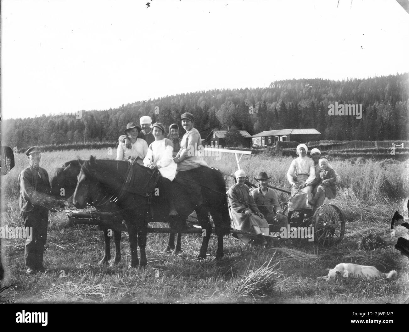Group action portraits Black and White Stock Photos & Images - Alamy