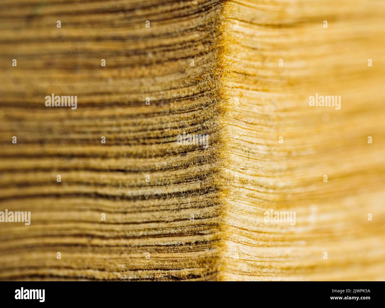 Stacked pages hi-res stock photography and images - Alamy
