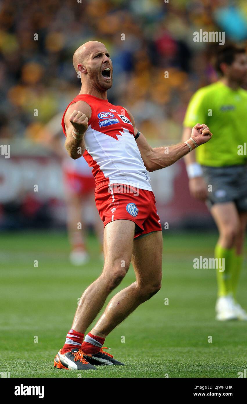 Sydney's Jarrad McVeigh celebrate after their win over Hawthorn in the ...