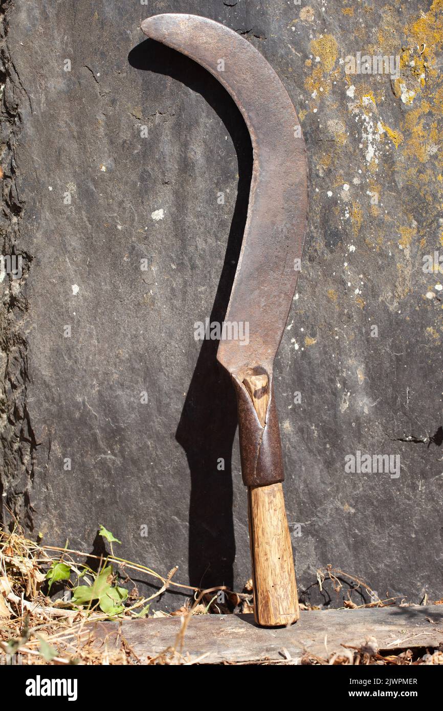 an old hand-forged sickle sits on a large black slate Stock Photo - Alamy