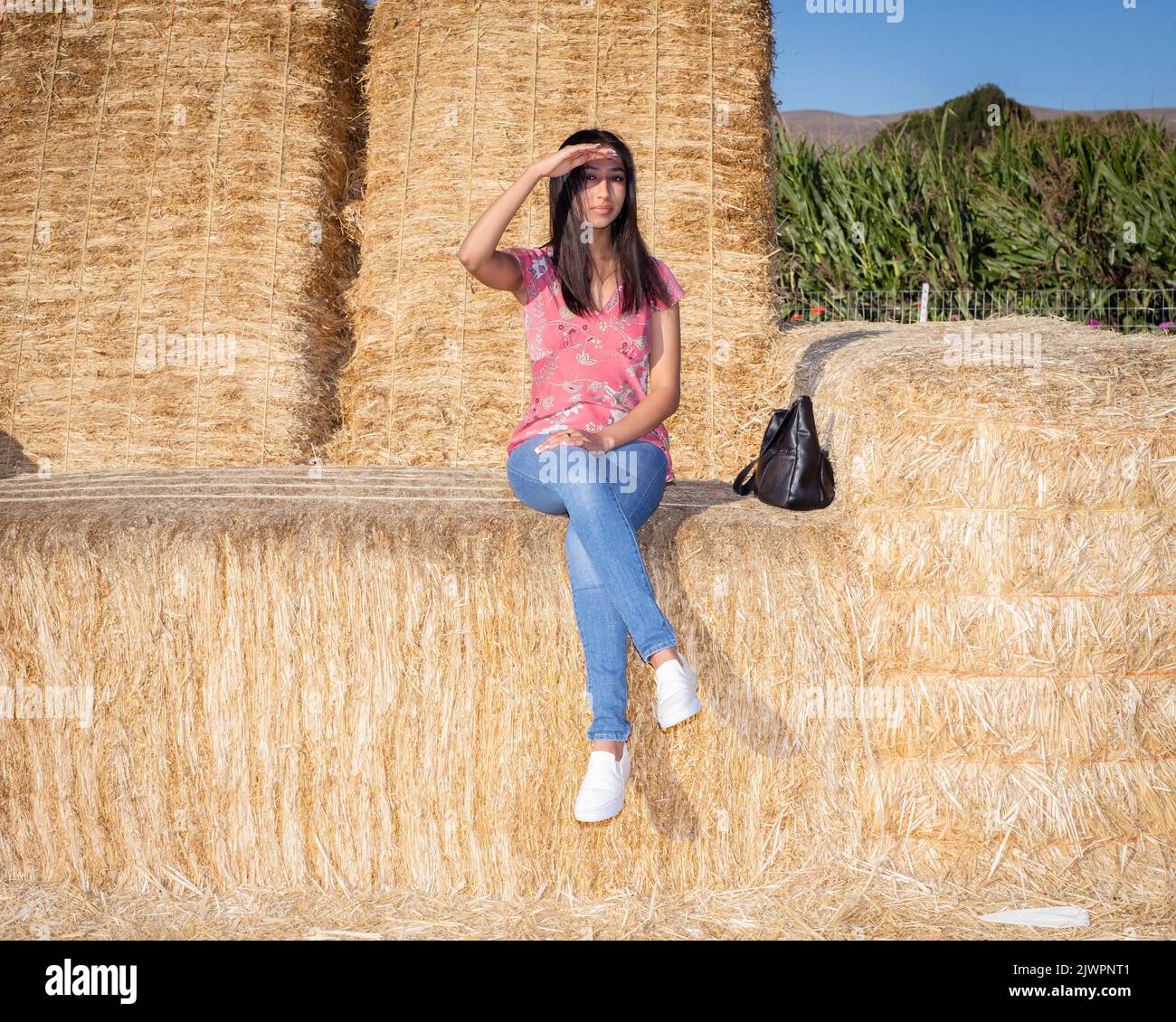 Fall Celebration Portrait of Young Asian Woman Seated on Comically ...