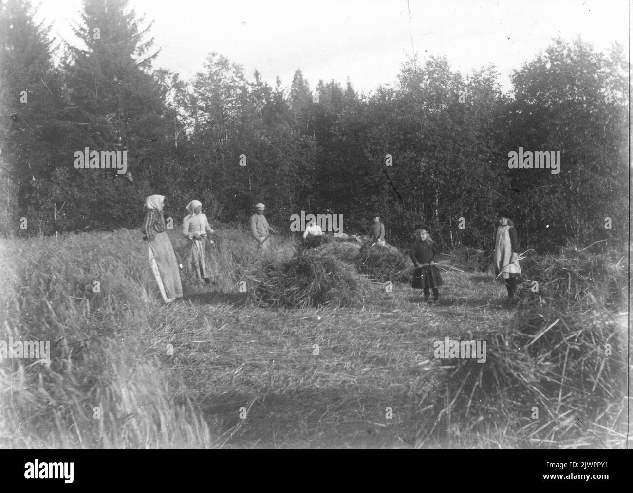 The people from left: Anna Lindberg, three unknown persons, Per Herman ...