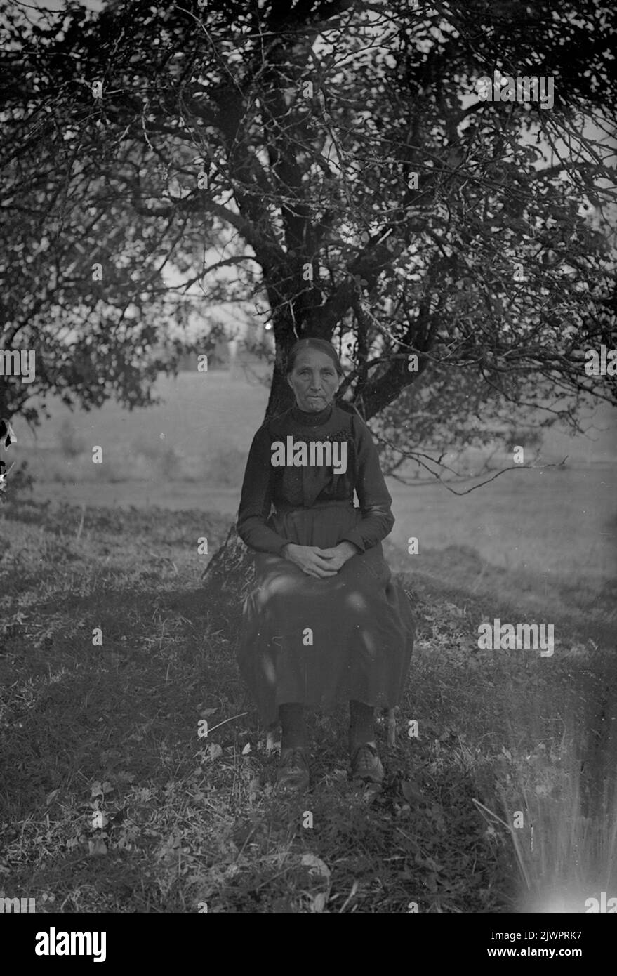 Older woman in front of trees. Äldre kvinna framför träd Stock Photo ...