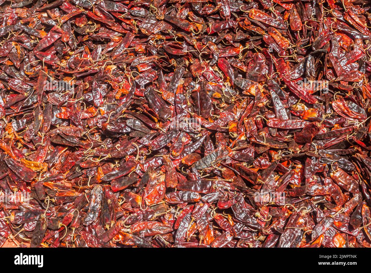 Drying chilli peppers in Ethiopia Stock Photo - Alamy