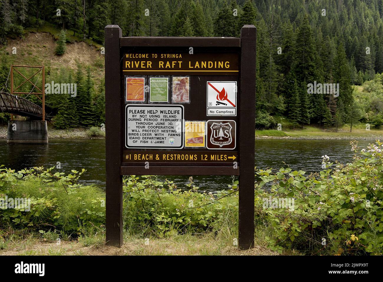 Welcome to syringa hi-res stock photography and images - Alamy