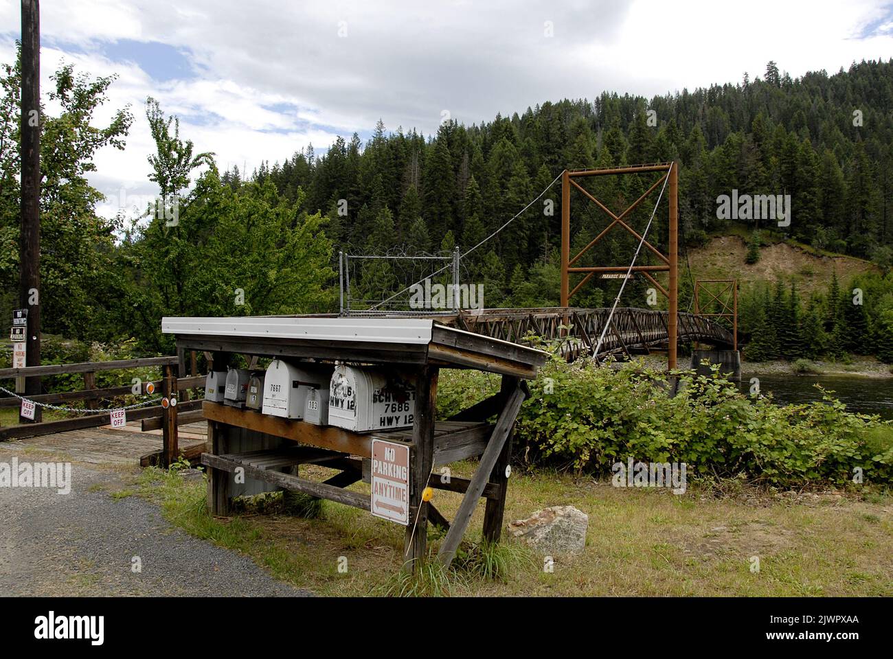 Welcome to syringa hi-res stock photography and images - Alamy