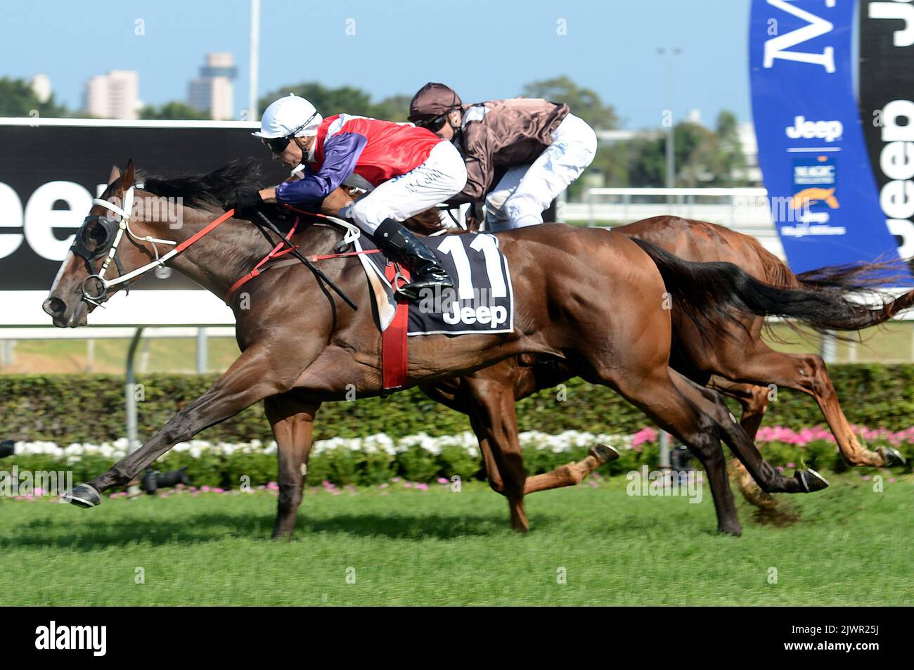 Jockey Michael Cahill rides Real Surreal to victory in race 6, the ...