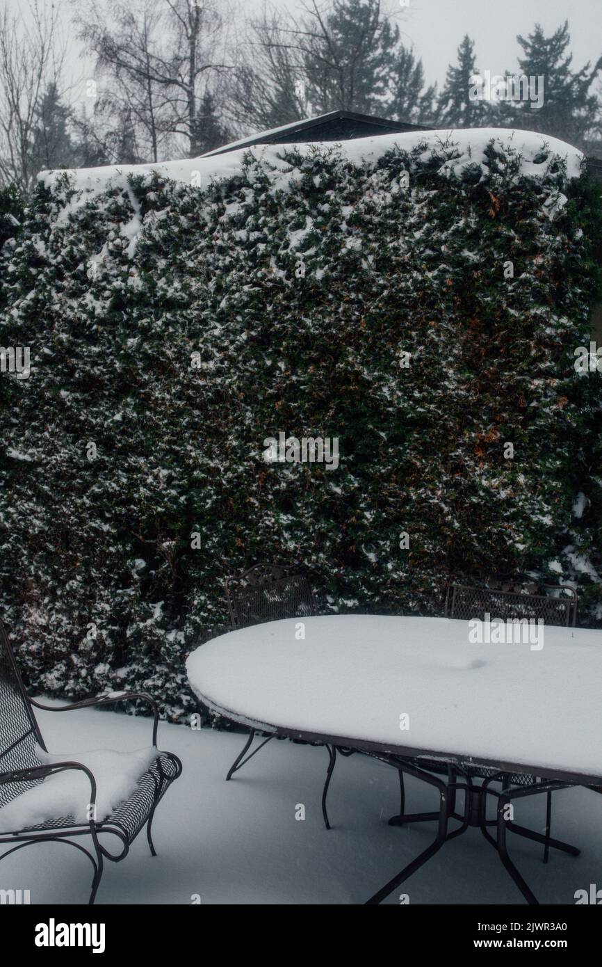 outdoor table and hedge covered in snow Stock Photo - Alamy
