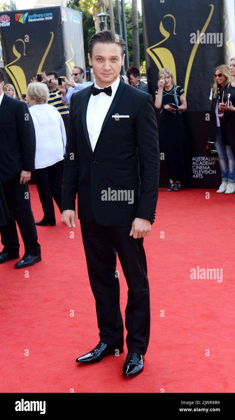 American actor Jeremy Renner at the AACTA (Australian Academy Cinema ...