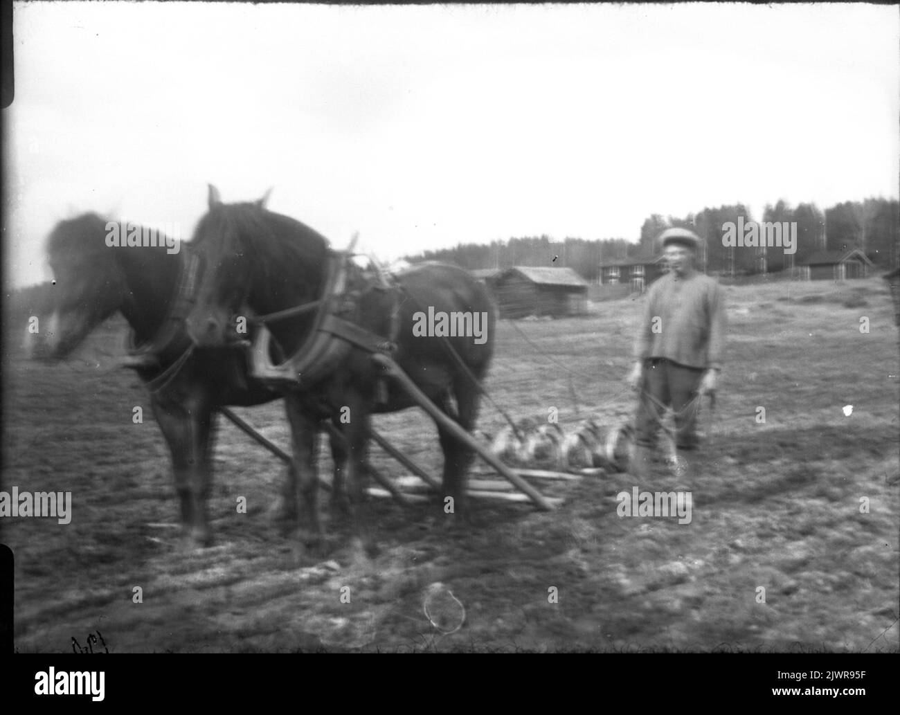 Plow the earth Black and White Stock Photos & Images - Alamy