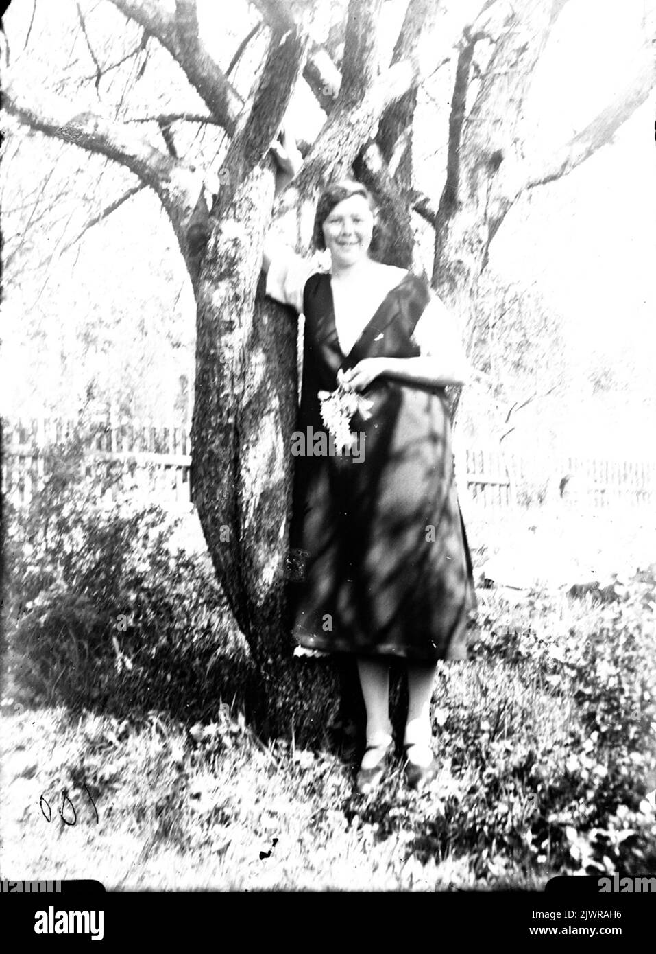 Woman as tree Black and White Stock Photos & Images - Alamy