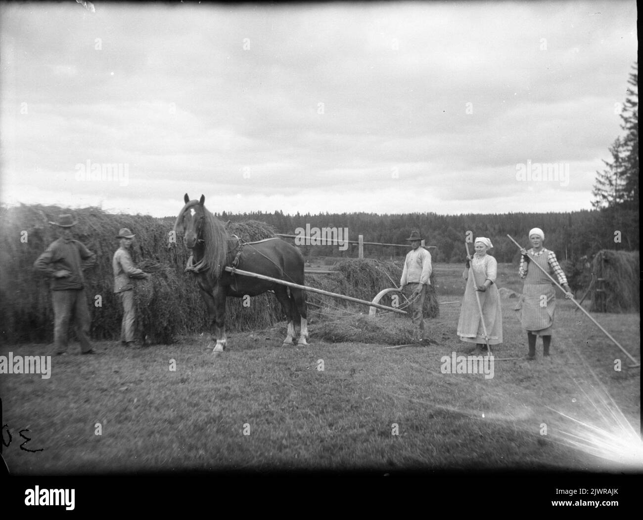 Mowers. Erik, Erik, Jonas and Anna Brosten as well as an unknown person ...