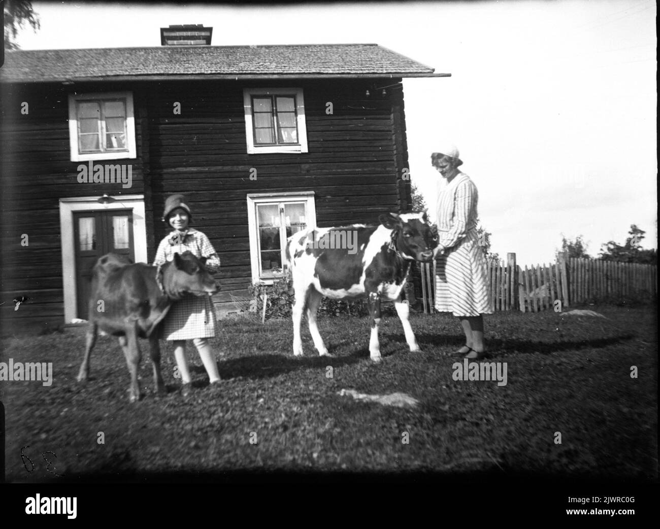 Manual on veterinary hygiene hi-res stock photography and images - Alamy