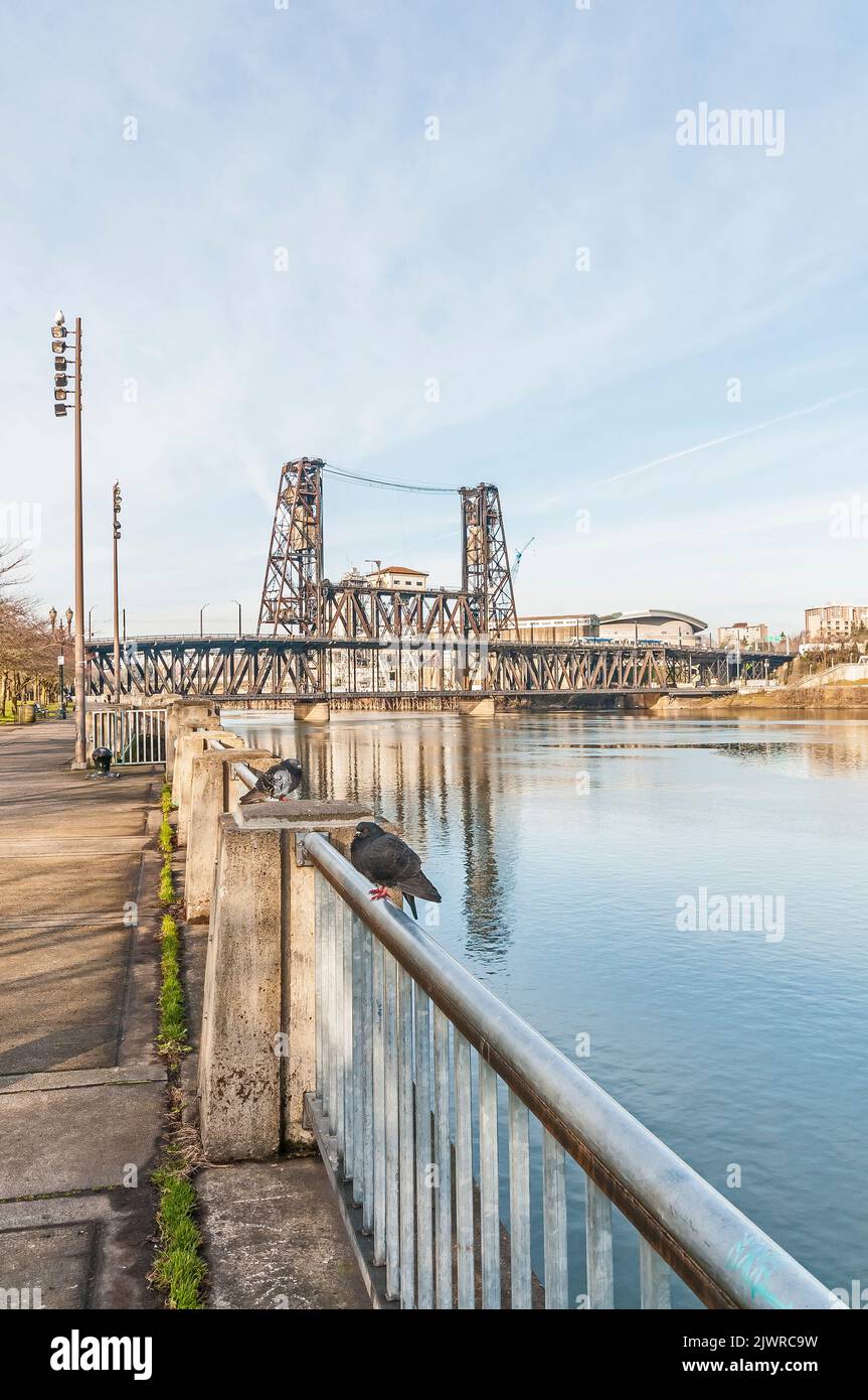 The "Steel Bridge" as viewed from the south from the riverfront walkway ...