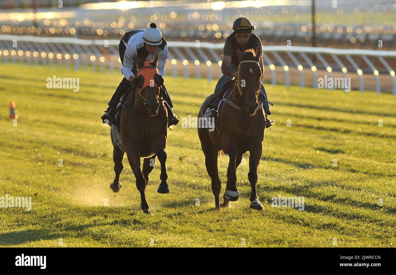 Woorim (left) and Barakey are galloped at Flemington Racecourse in ...