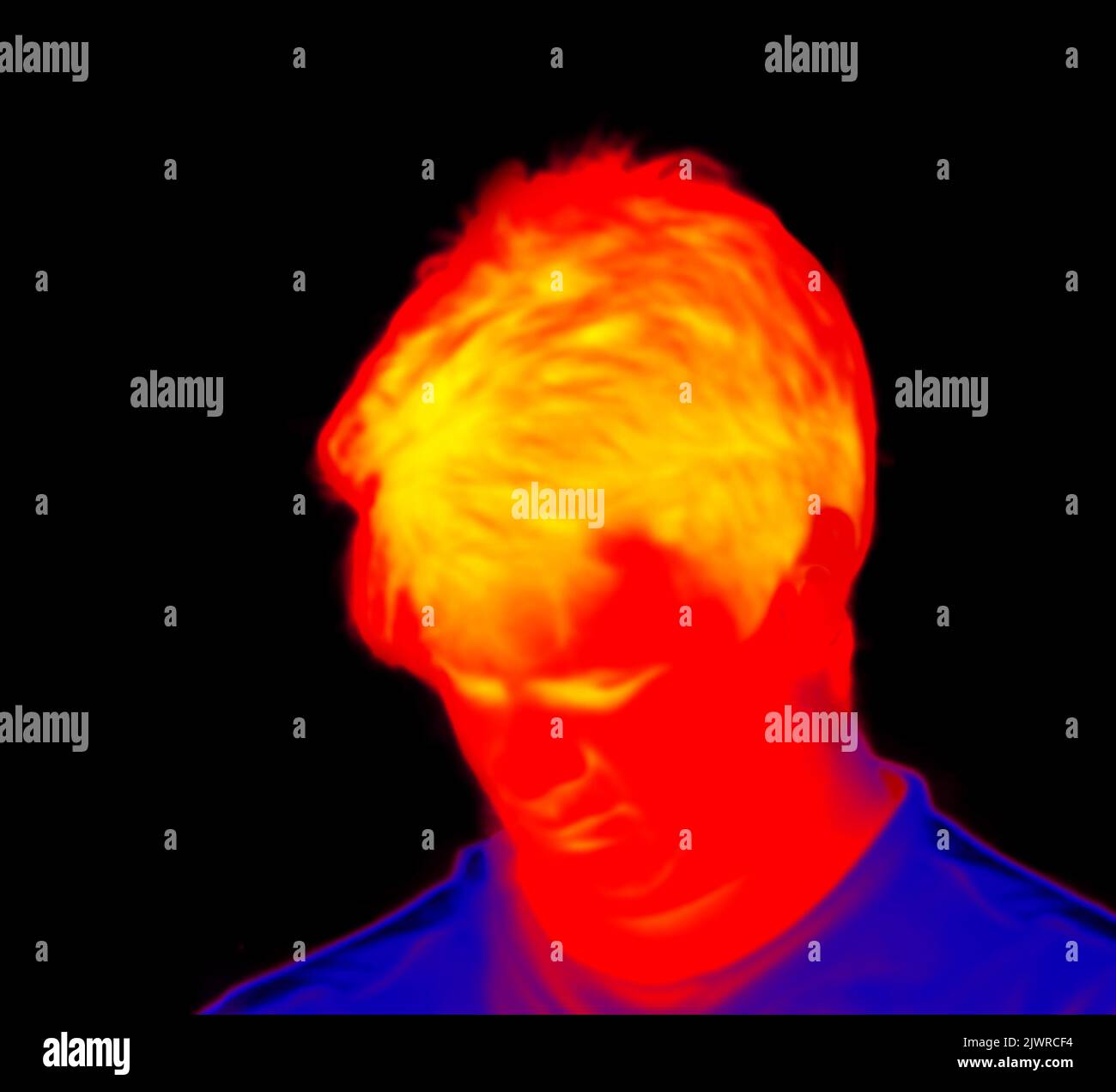 Portrait of a confident young man. Illustration of thermal image ...