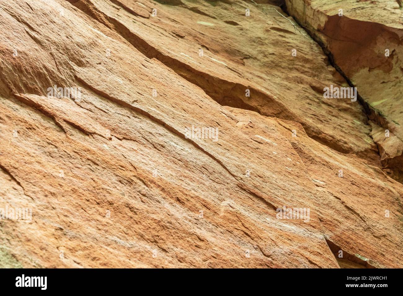 textured solid yellow-brown sandy surface. Background. Marble Texture ...