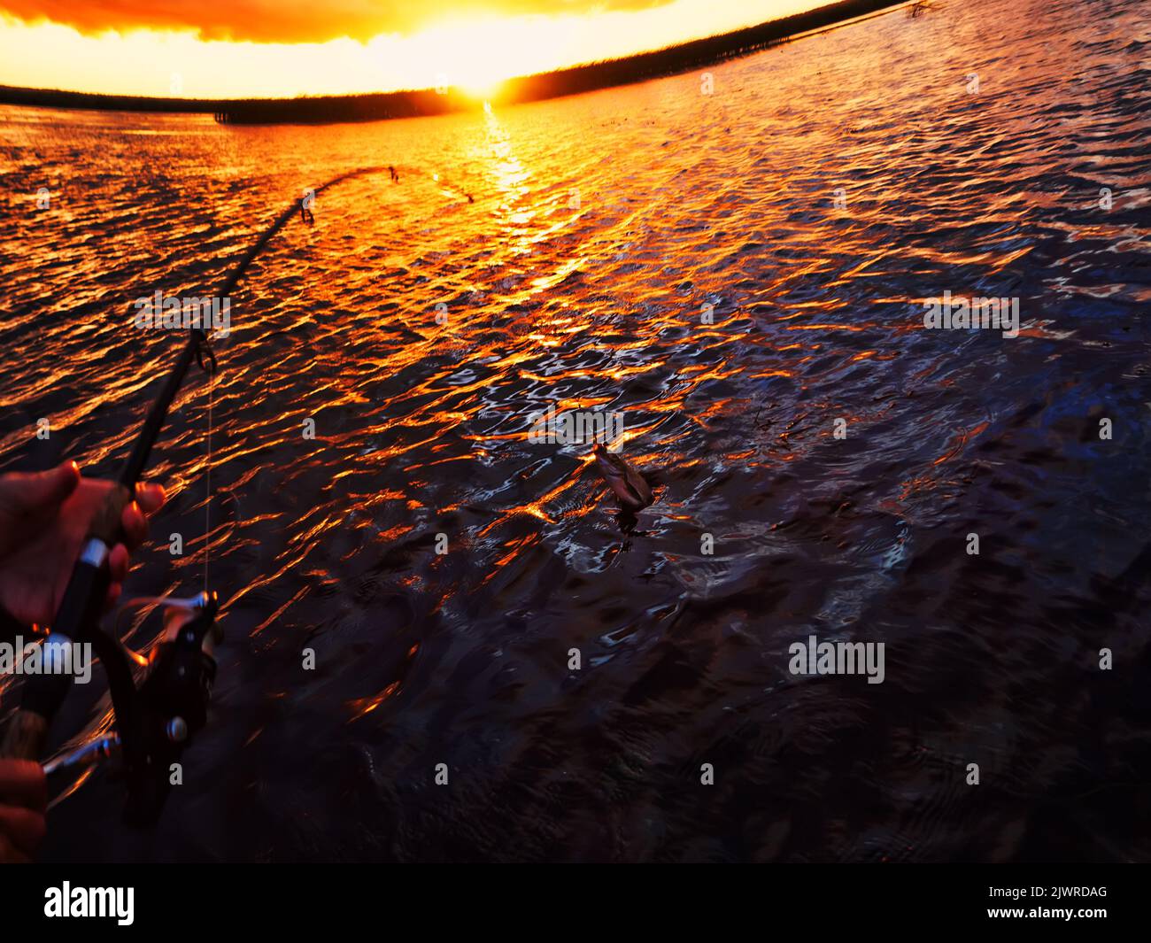 Fishing at sunset. Catching predatory fish on spinning. Sunset colors ...