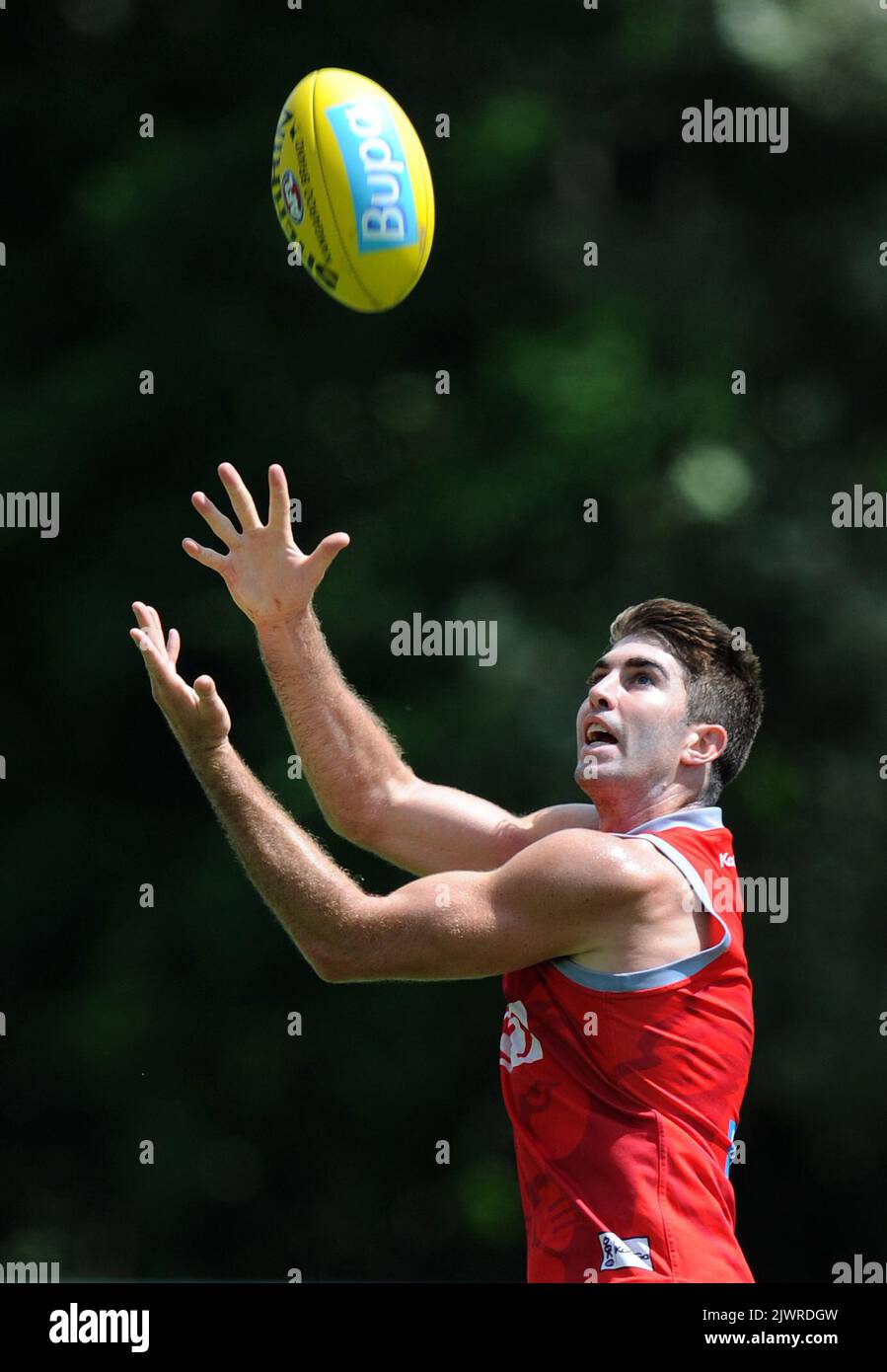 Jordan Lisle recieves the ball during the Brisbane Lions training ...
