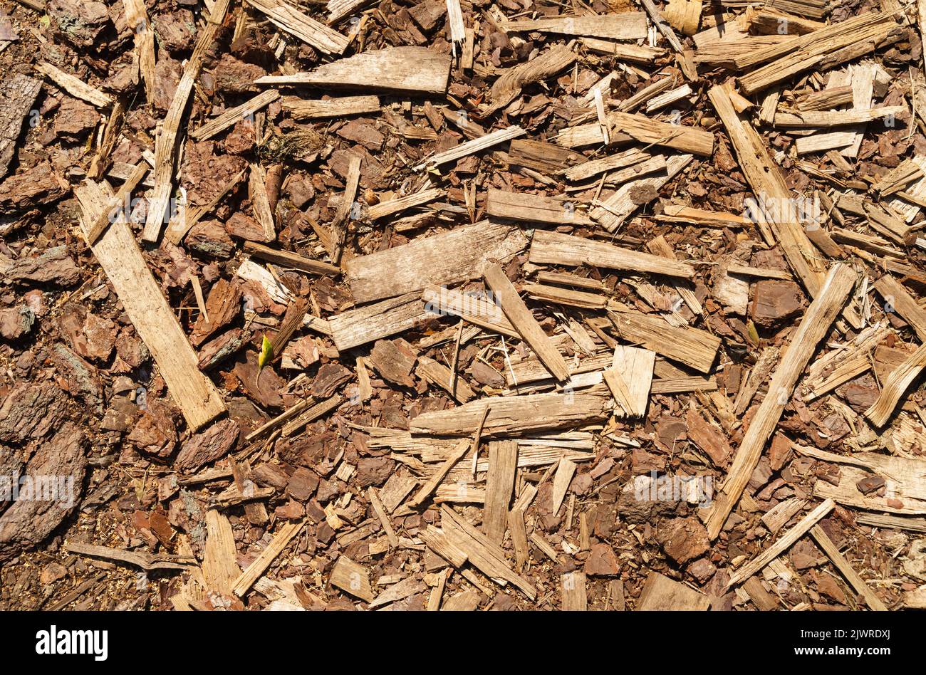 Background texture of small wood chips and bark. Textures and ...