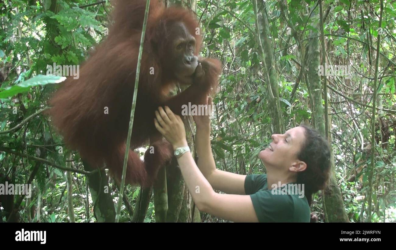 Supplied image of Perth Zoo Senior Orangutan Keeper Kylie Bullo ...