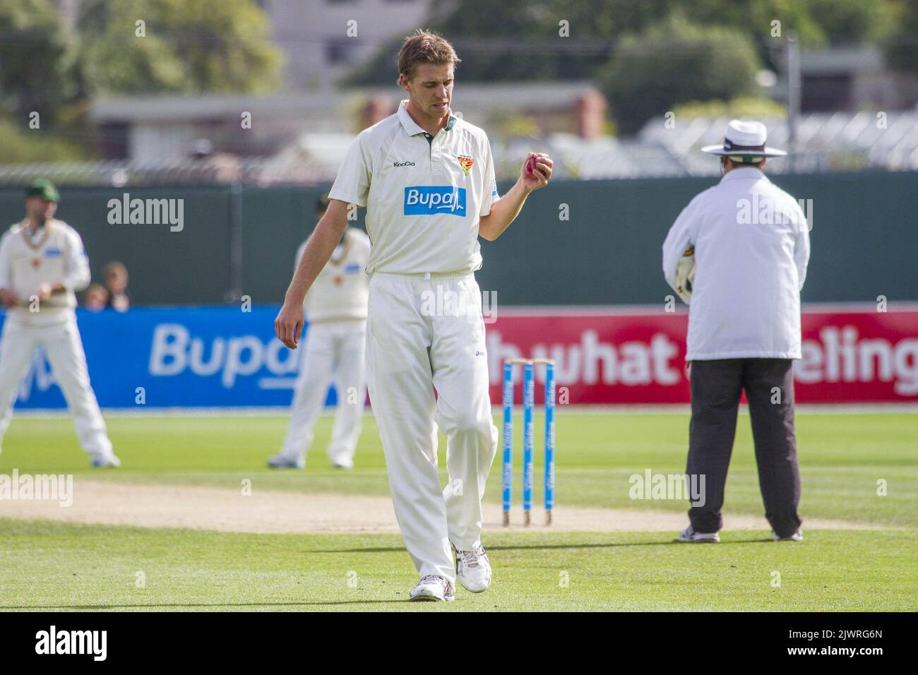 Luke Butterworth preparing to bowl during the Sheffield Shield final ...