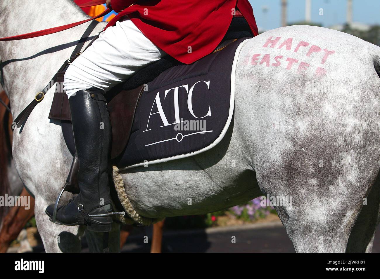 A clerk of the course pony has happy easter painted on during the ...