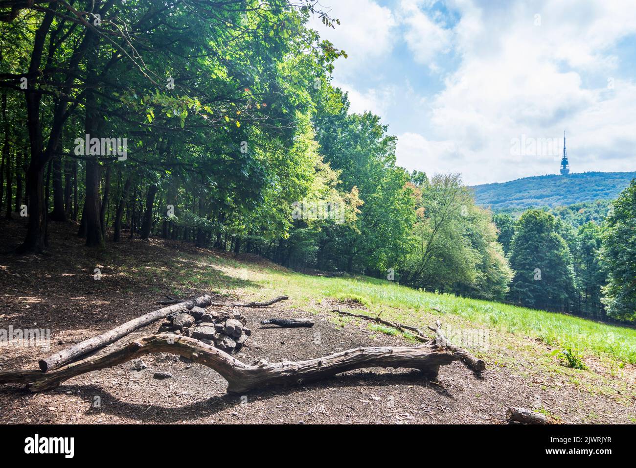 Bratislava (Pressburg): Kamzik TV Tower in Bratislavsky lesny park in ...