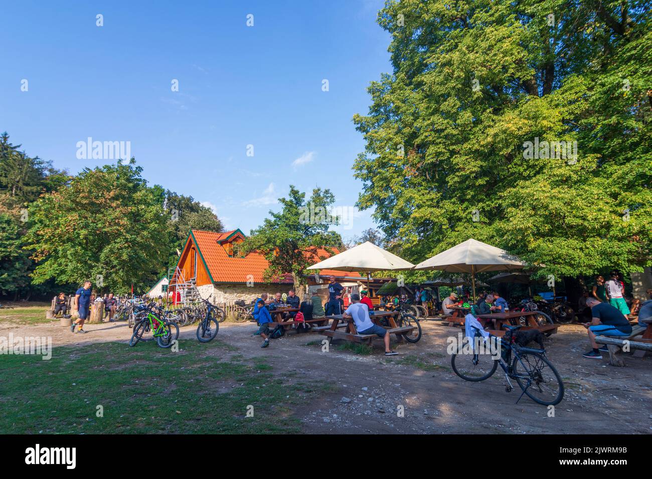 Karpaty stand hi-res stock photography and images - Alamy