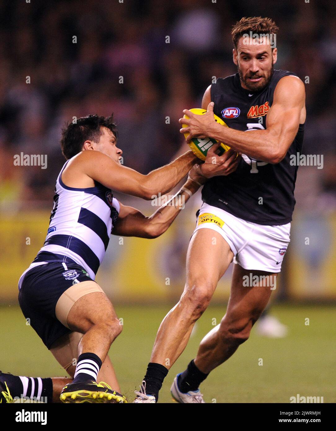 Andrew Walker of Carlton and Allen Christensen of Geelong contest for ...