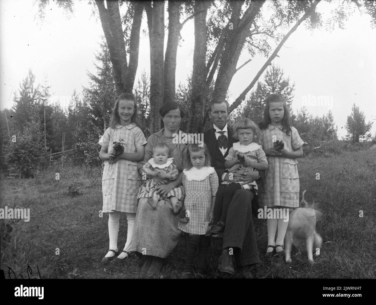 Archival documentation of family Black and White Stock Photos & Images ...
