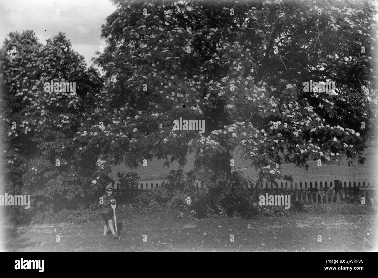 Painter-Lars, Lars Nilsson. Målar-Lars, Lars Nilsson Stock Photo - Alamy