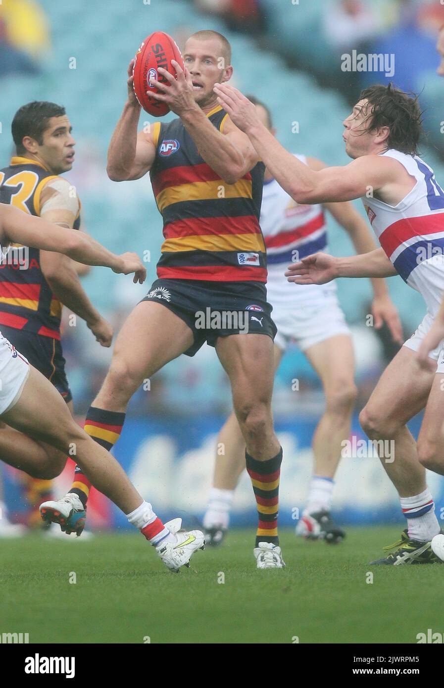 Scott Thompson of the Adelaide Crows secures the ball in front Daniel ...