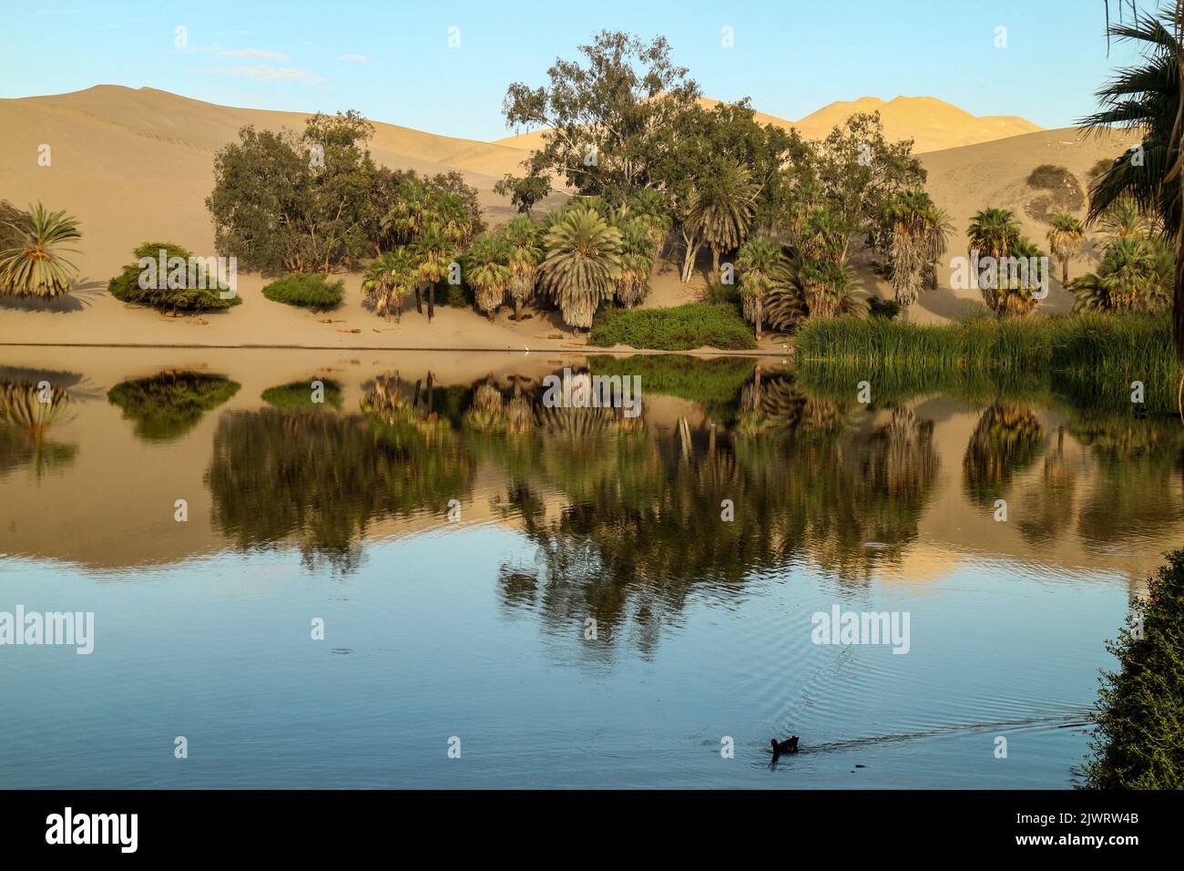 Huacachina - an oasis in the middle of the Peruvian desert, view of ...
