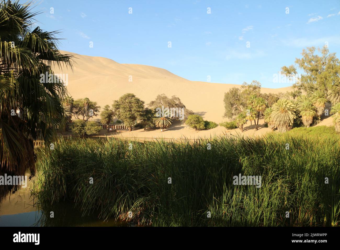 Huacachina - an oasis in the middle of the Peruvian desert, view of ...