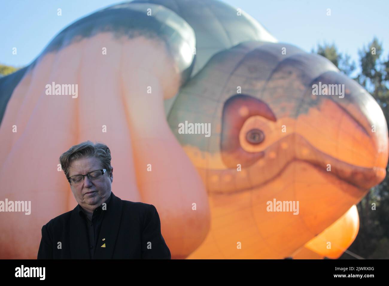 Centenary of Canberra Creative Director Robyn Archer stands in front of ...