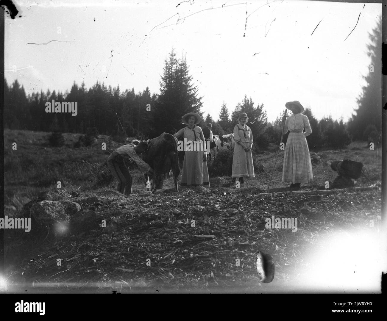 Unknown environment. Obekant miljö Stock Photo - Alamy