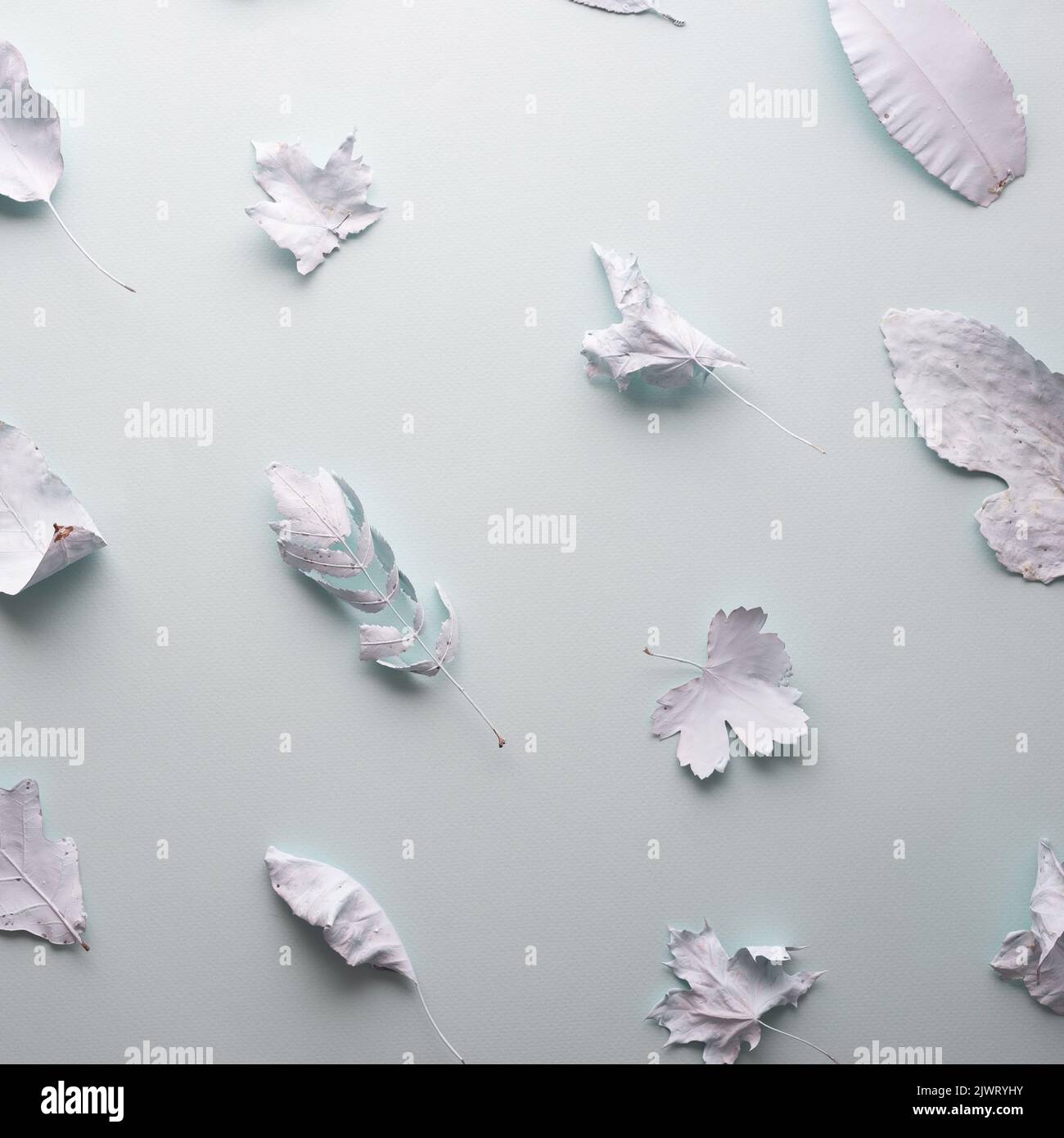 autumn background blue leaves in paint on a blue background minimalism ...